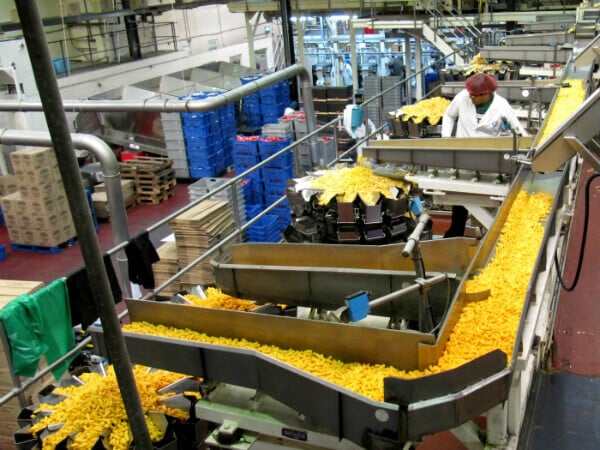 Crisps Conveying and Elevating System | Gough Engineering